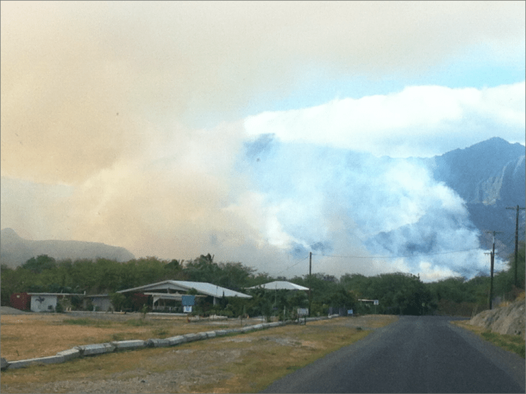 Fire and Life Safety | Honolulu Fire Department